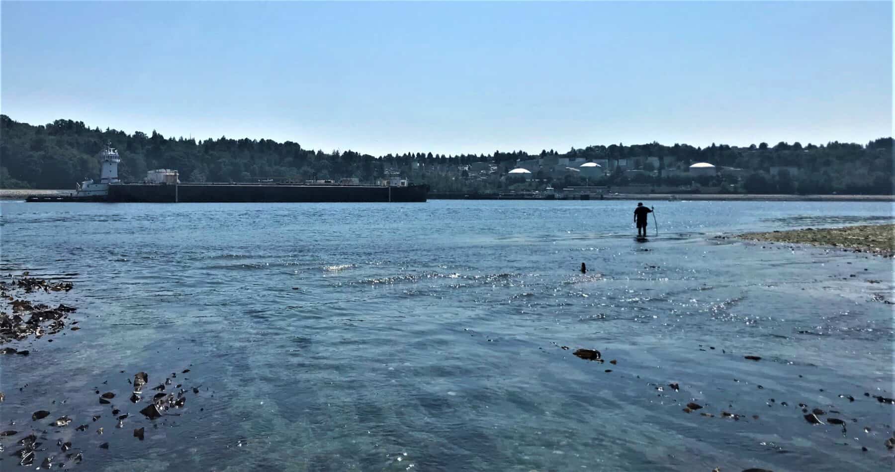 Shoreline Erosion in the Central Harbour of Burrard Inlet - Sacred Trust